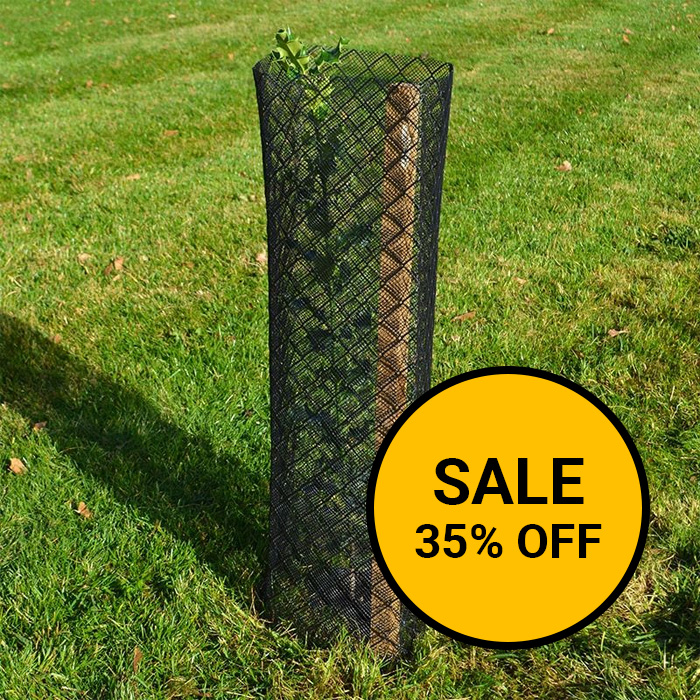 Climatic Mesh Shrub Guard | Tree & Shrub Protection | British Hardwood ...
