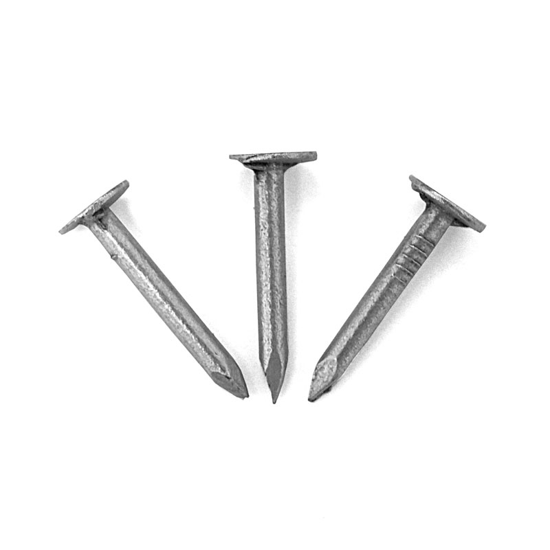 Galvanised Clout Nails | Tree Belting Accessories | British Hardwood ...
