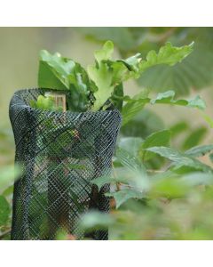 Flat Pack Mesh Guards - Spiral & Mesh Plant Protection | British ...