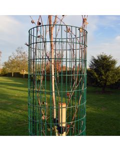 Weld Mesh Tree Guards - Spiral & Mesh Plant Protection | British ...