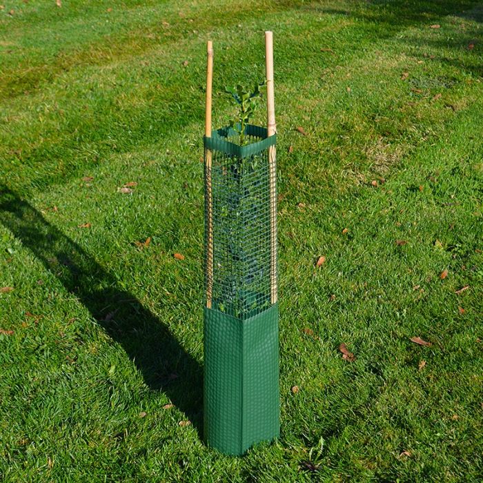 Mesh Guards with Spray Shield | Tree & Shrub Protection | British ...