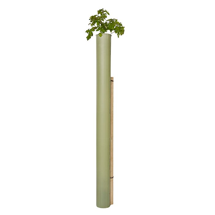 Tubex Tree Shelters & Tubes | Tree & Shrub Protection | British ...
