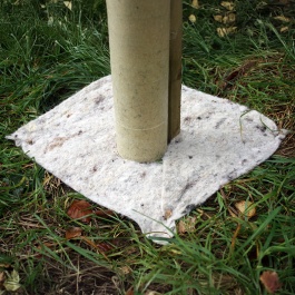 BioWool™ Weed Mats | British Hardwood Tree Nursery
