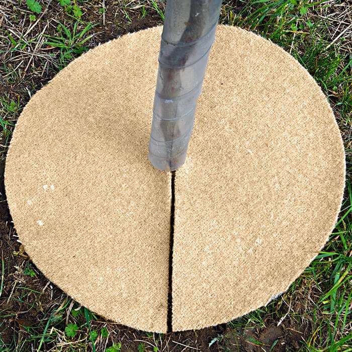 Reed Mat DeWitt Green Tree Circle Weed Mats - 3'x3' Or 4'x4' Fabric ...