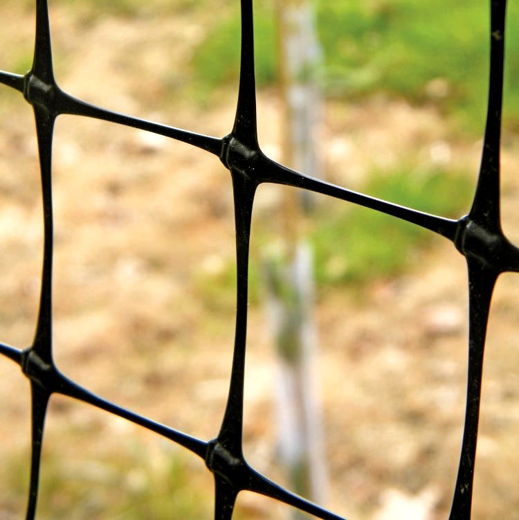 Mesh Guard Rolls - Spiral & Mesh Plant Protection | British Hardwood ...