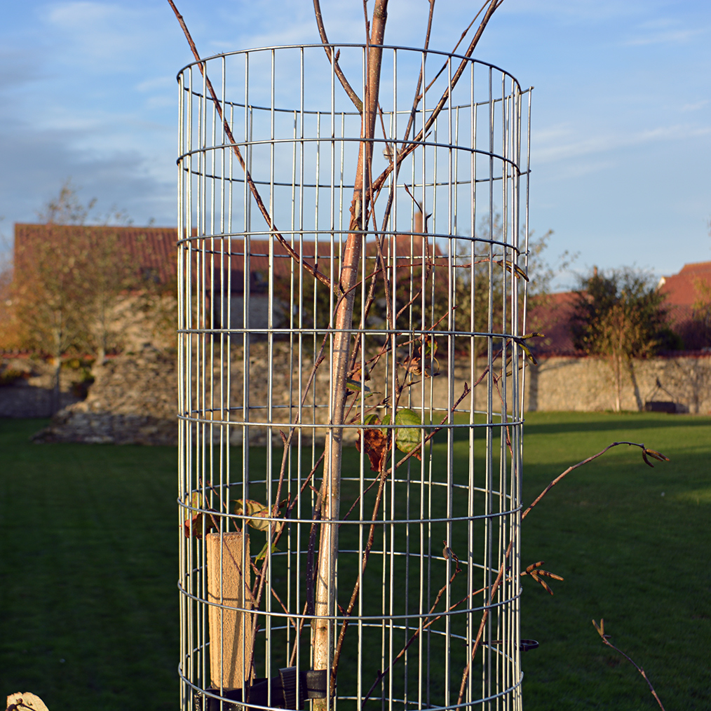 Weld Mesh Tree Guards - Spiral & Mesh Plant Protection | British ...