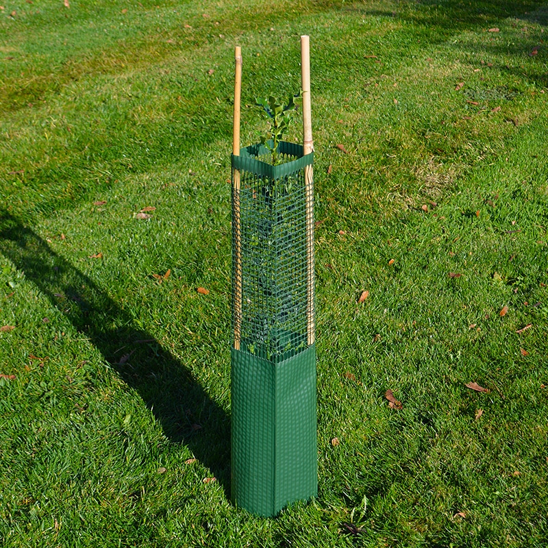 Mesh Guards with Spray Shield | Tree & Shrub Protection | British ...
