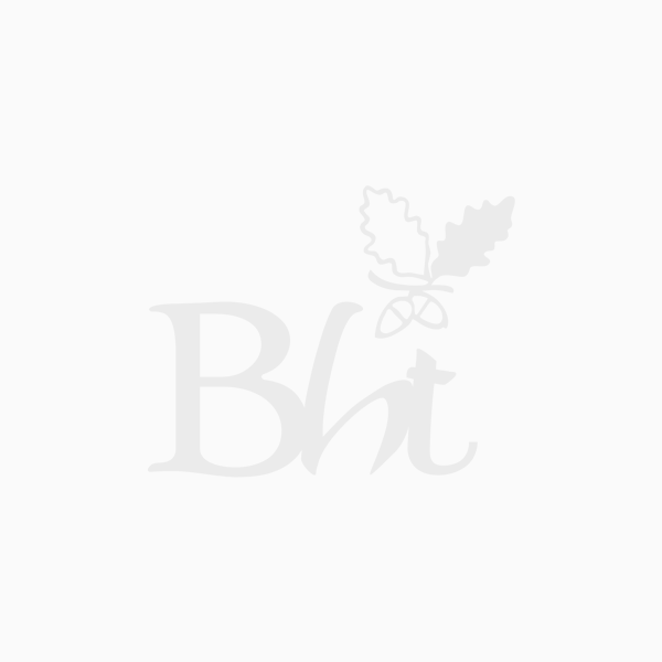 Biodegradable Plant Protection | British Hardwood Tree Nursery