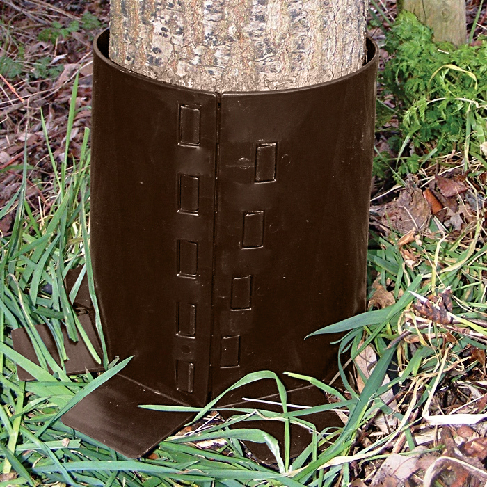 Premium Strimmer Guards | Tree Protection | British Hardwood Tree Nursery