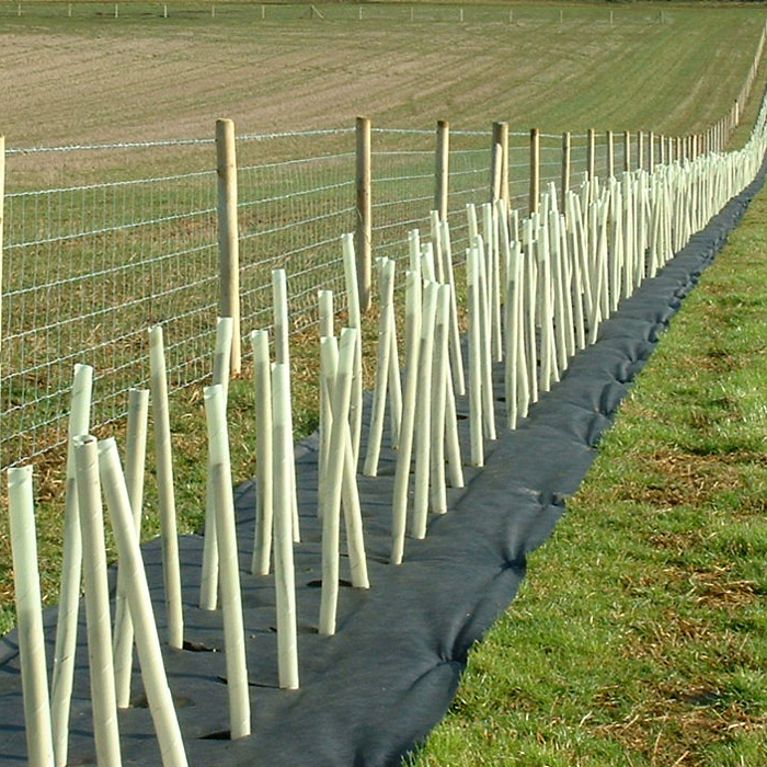 Spiral Tree Guards | Hedge Protection | British Hardwood Tree Nursery