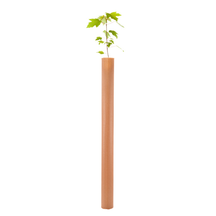 Biodegradable Plant Protection | British Hardwood Tree Nursery