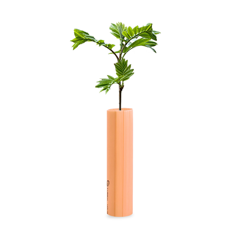 Tubex Nature Vole Guards | Vole & Mice Protection | British Hardwood ...