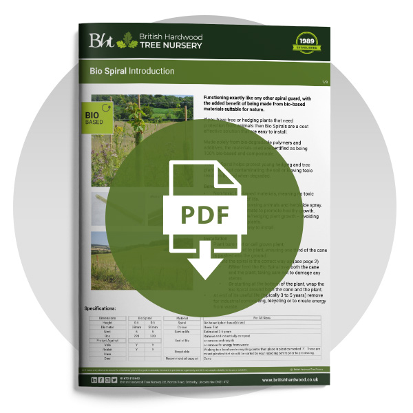 Bio Spiral Guards | Hedge Plant Protection | British Hardwood Tree Nursery