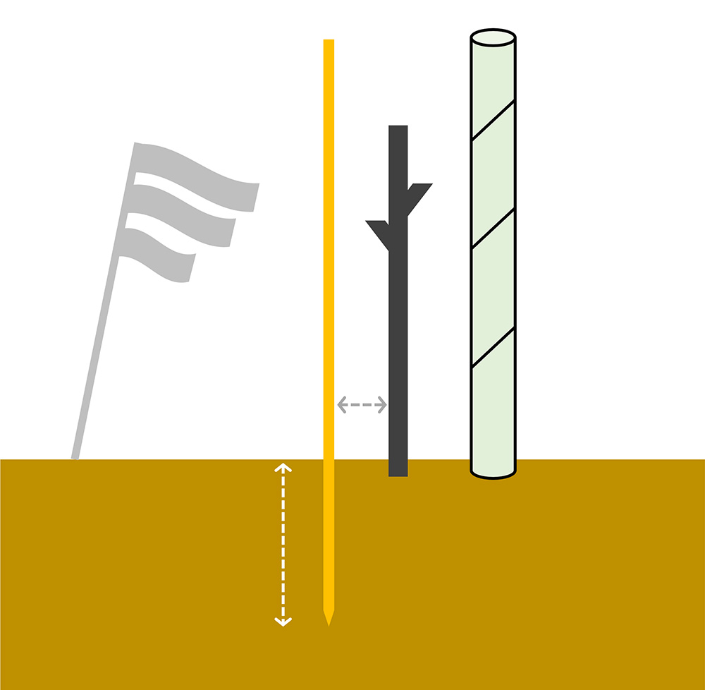 Bio Spiral Guards | Hedge Plant Protection | British Hardwood Tree Nursery