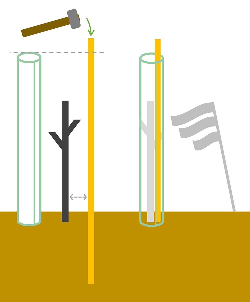 Tubex Easywrap 65 | Tree Protection | British Hardwood Tree Nursery