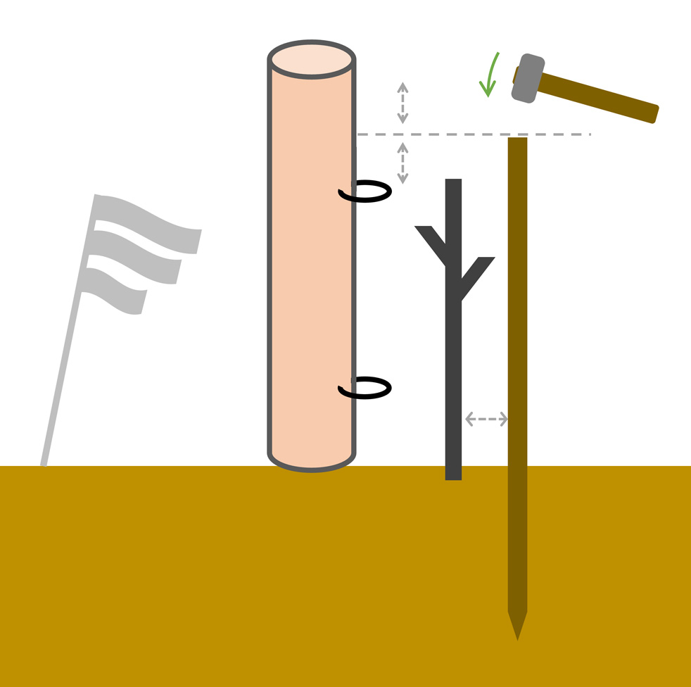 Tubex Nature Tree Shelters | British Hardwood Tree Nursery