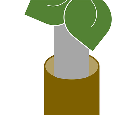 Tubex Vole Guards | Vole & Mice Protection | British Hardwood Tree Nursery
