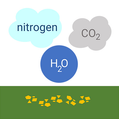 BioWool™ Weed Mat Rolls | British Hardwood Tree Nursery
