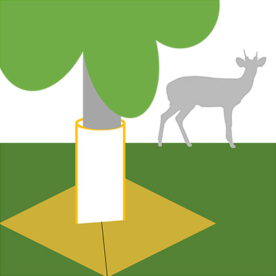 BioWool™ Weed Mat Rolls | British Hardwood Tree Nursery