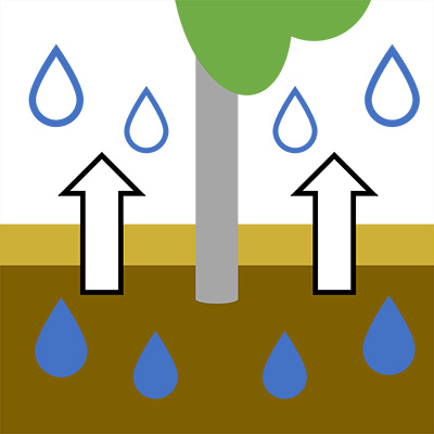 BioWool™ Weed Mat Rolls | British Hardwood Tree Nursery