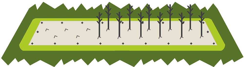 BioWool™ Weed Mat Rolls | British Hardwood Tree Nursery