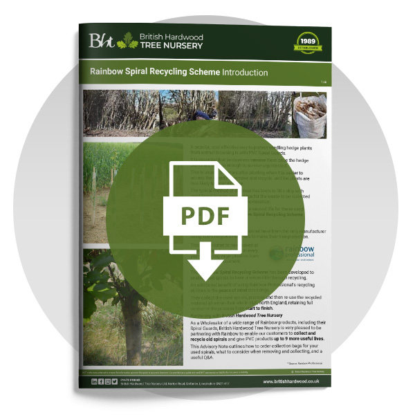 Rainbow Spiral Recycling Scheme | British Hardwood Tree Nursery