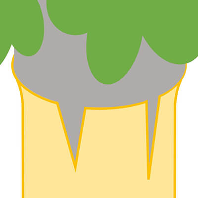 Rainbow Terra Tree Shelters | British Hardwood Tree Nursery