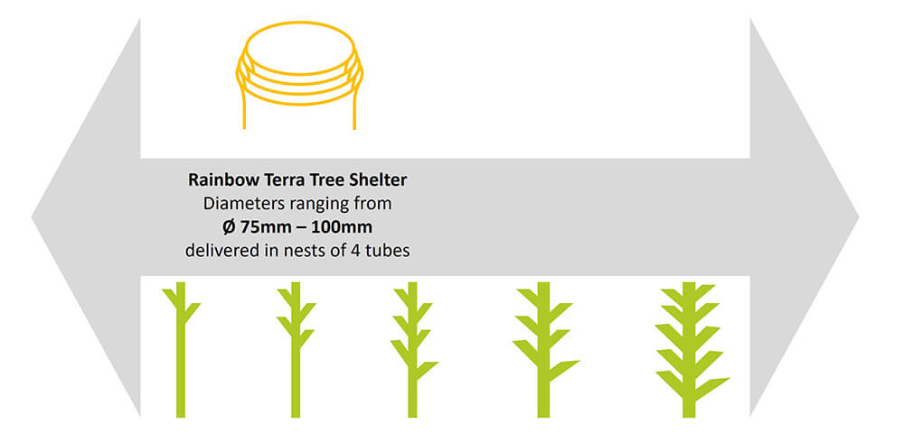 Rainbow Terra Tree Shelters | British Hardwood Tree Nursery