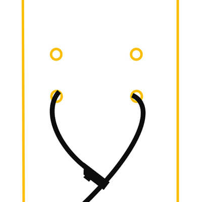 Rainbow Terra Tree Shelters | British Hardwood Tree Nursery