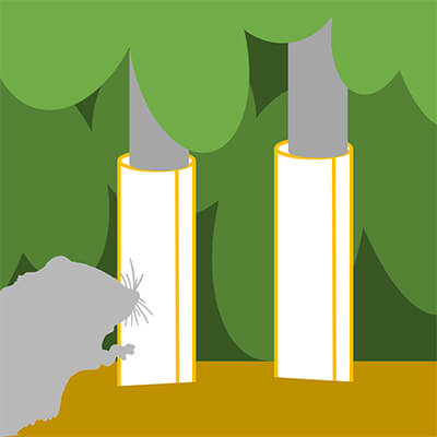Tubex Nature Vole Guards | Vole & Mice Protection | British Hardwood ...