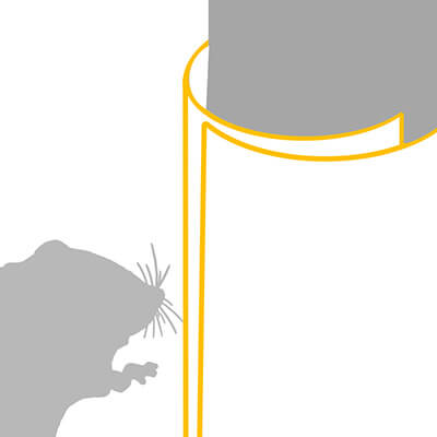 Tubex Nature Vole Guards | Vole & Mice Protection | British Hardwood ...