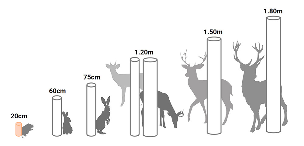 Tubex Nature Vole Guards | Vole & Mice Protection | British Hardwood ...